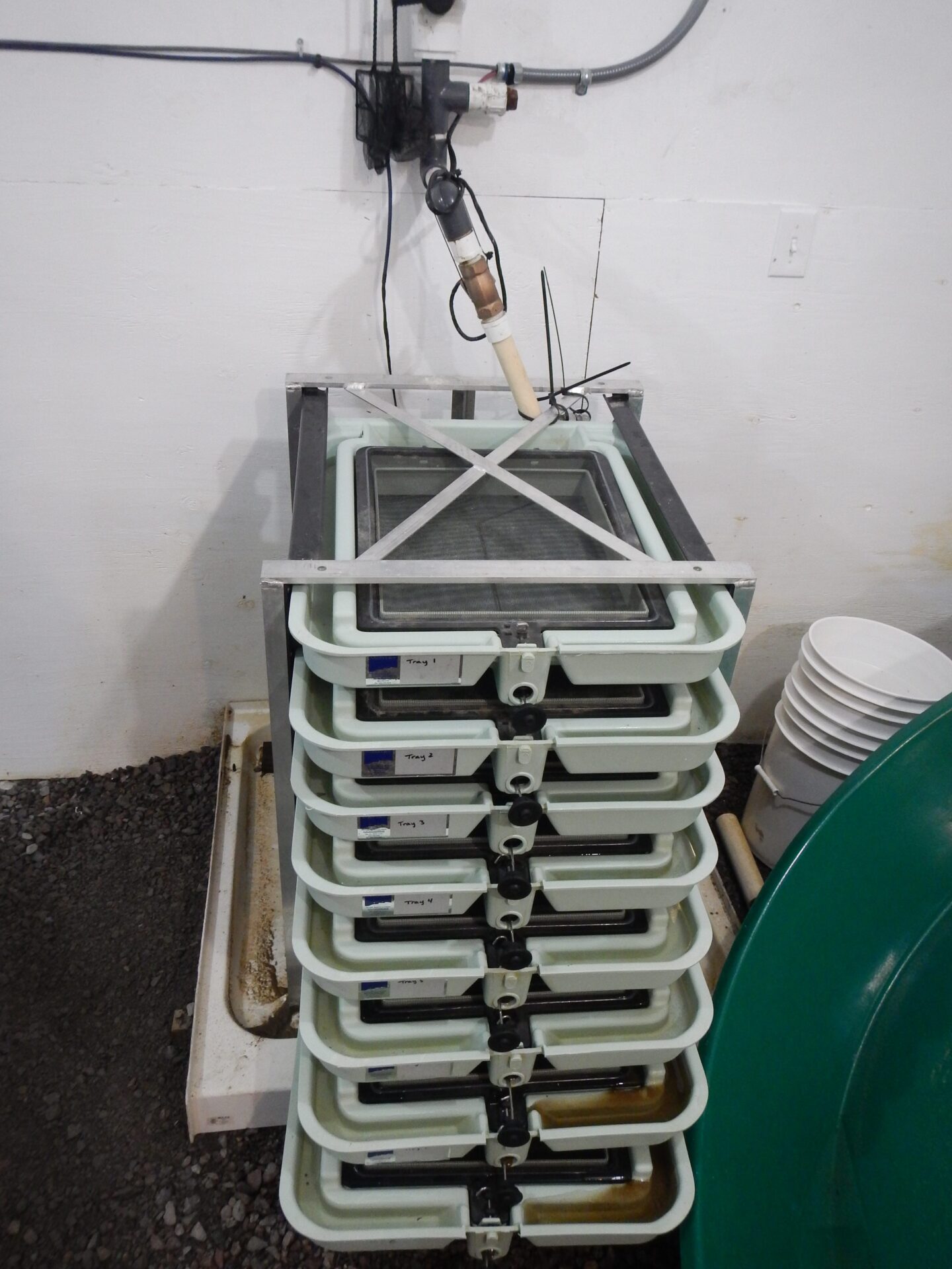 Mount Polley built and managed an on-site fish hatchery in 2018 - Mount ...