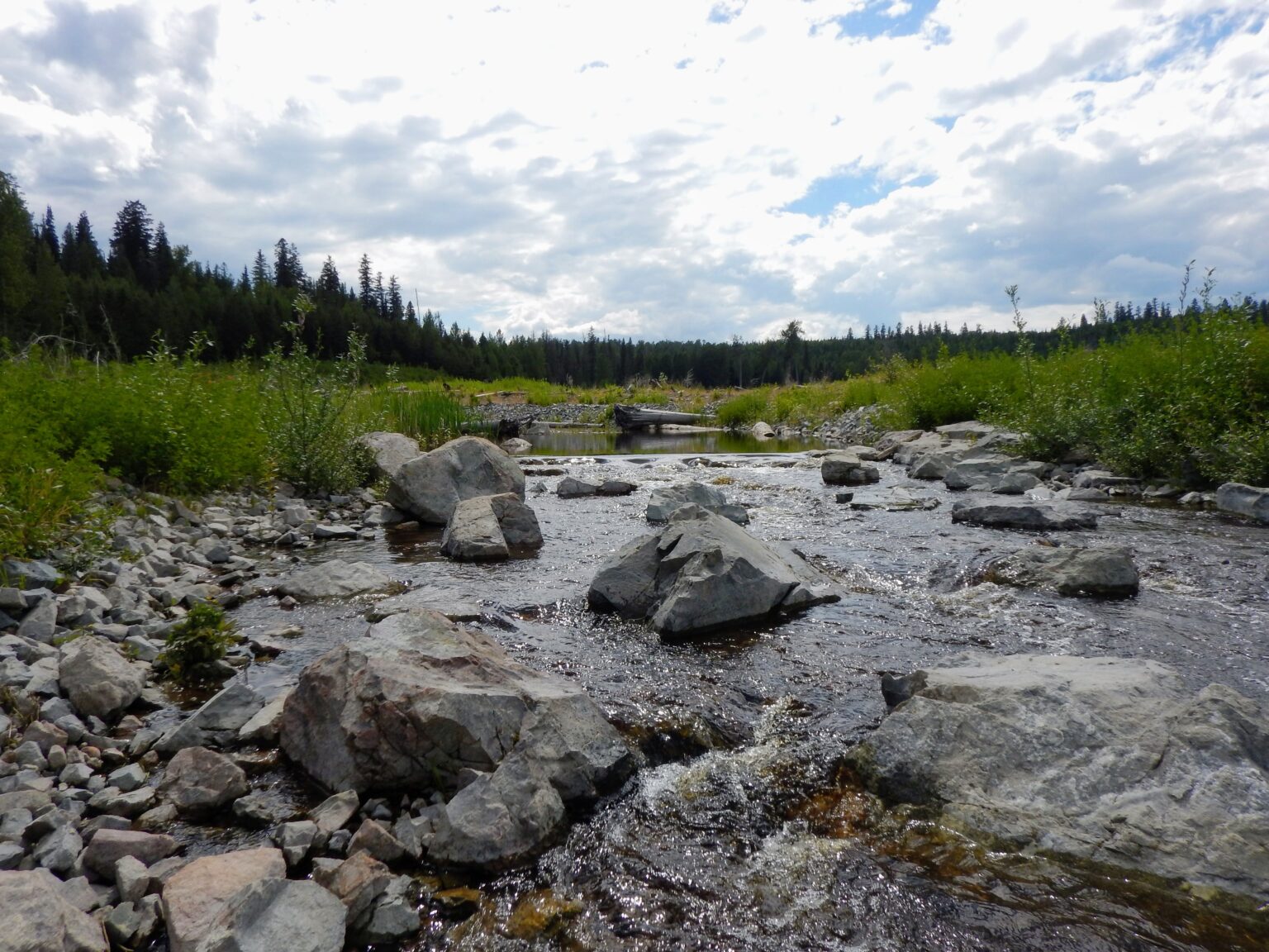Mount Polley Mine: A Decade of Environmental Restoration and Progress ...