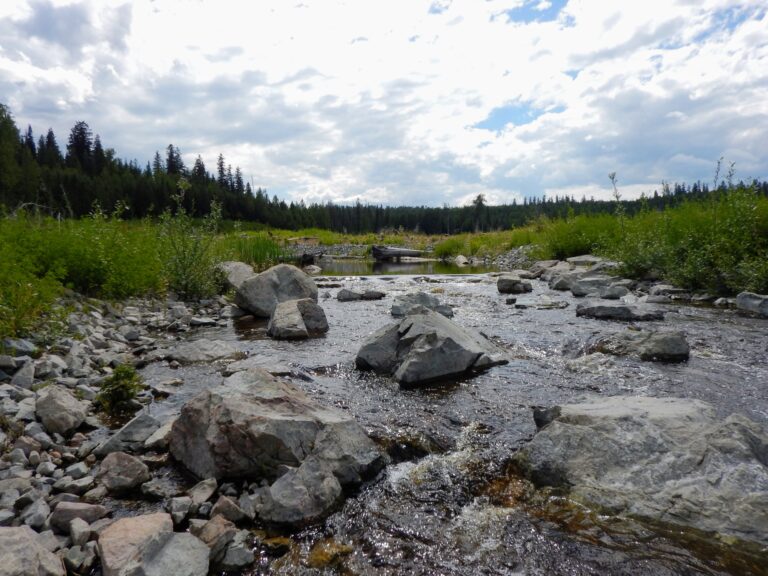 Mount Polley Mine: A Decade of Environmental Restoration and Progress ...