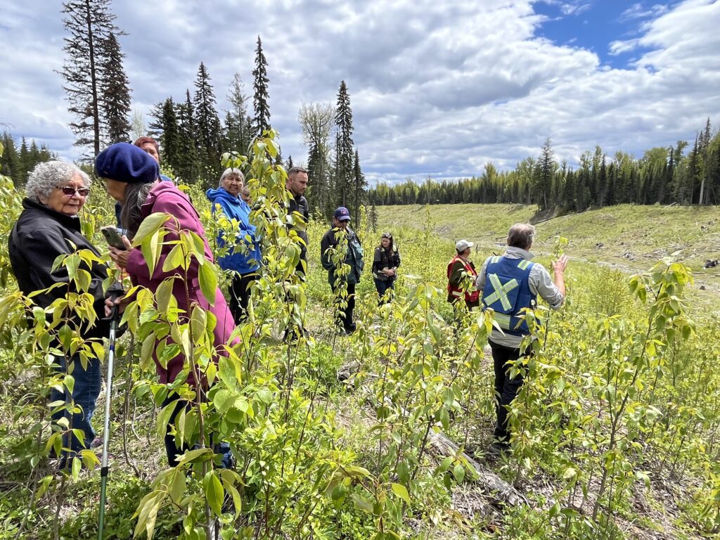 Mount Polley Mine: A Decade of Environmental Restoration and Progress ...
