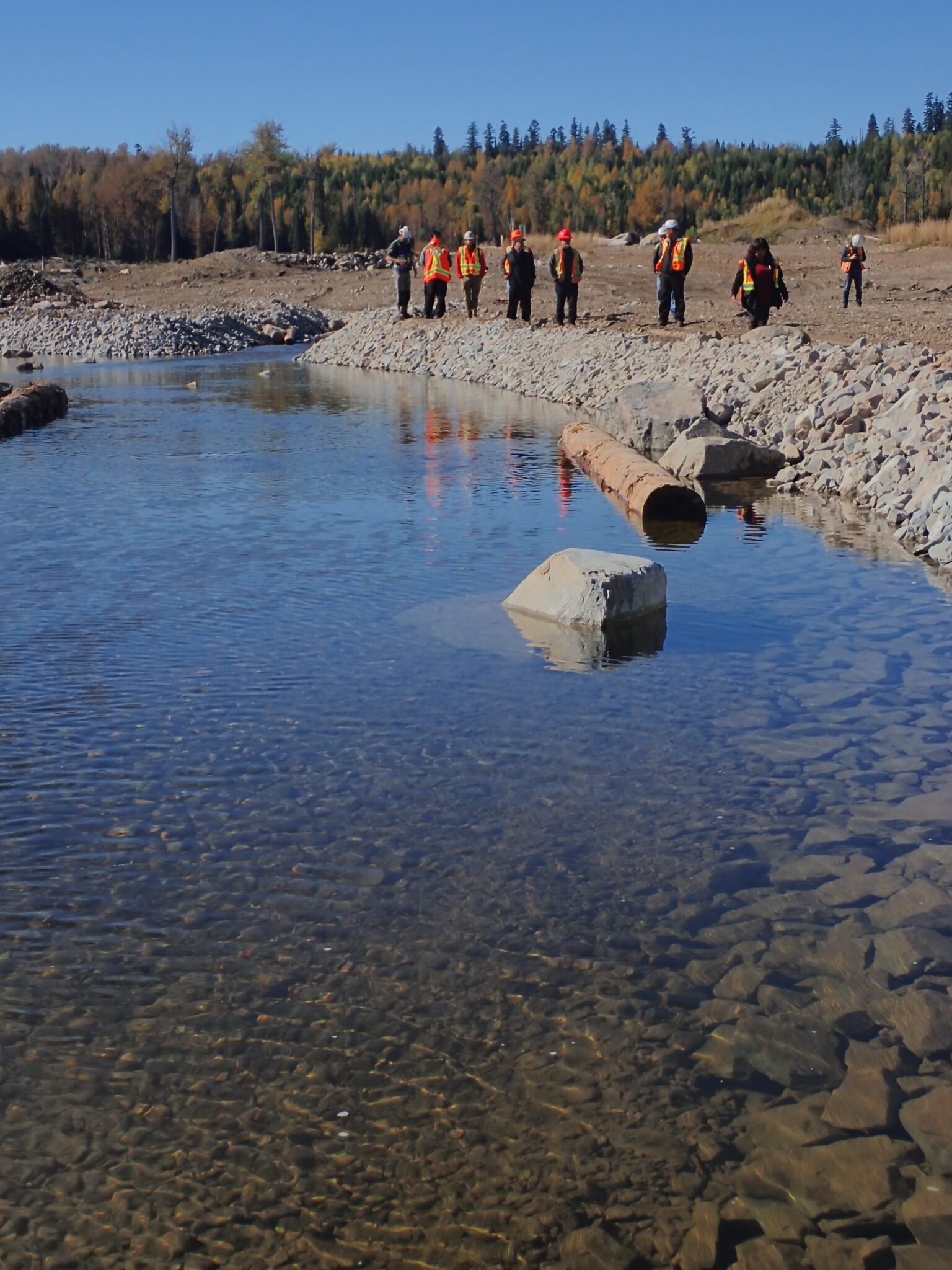 Mount Polley Mine: A Decade of Environmental Restoration and Progress ...